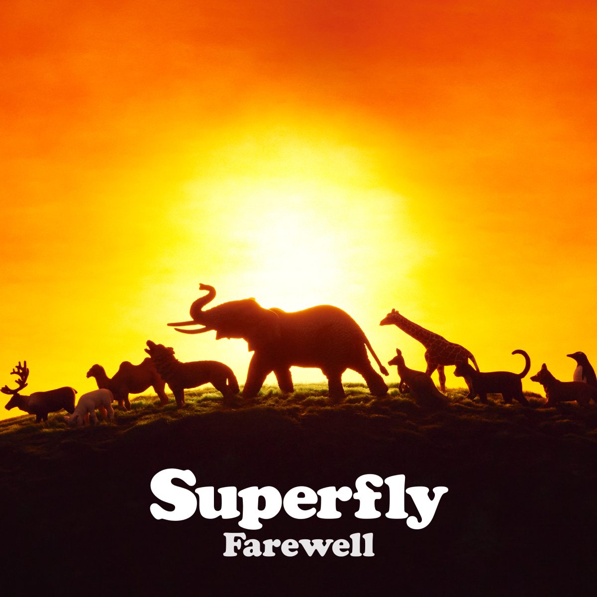 Superfly 映画『イチケイのカラス』主題歌 新曲「Farewell」が12/28(水)に配信リリース決定&ジャケット写真公開！ - 日刊 ...