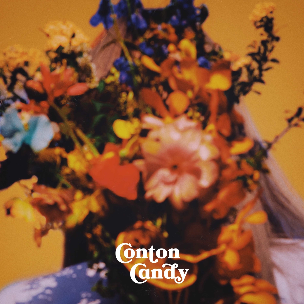Conton Candy、「THE FIRST TAKE」初登場！総再生回数80億回超え「ファジーネーブル」をスペシャルアレンジで披露 ...