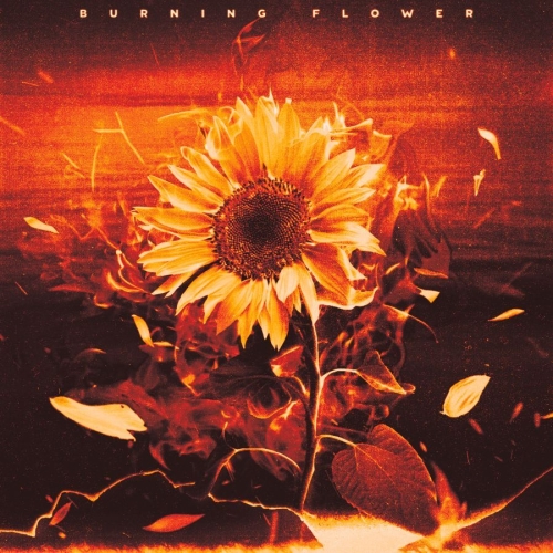 鮮烈なデビューから快進撃を続けるHANA！ 新曲「Burning Flower」が配信リリース！圧巻の迫力＆パフォーマンスを魅せるMVも同日 ...
